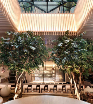 AVRA estiatorio The Upscale Greek Eatery in New York opens 2nd ...